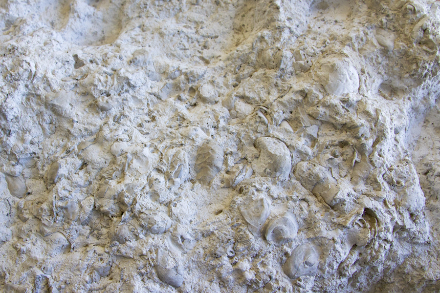 Faxe Kalkbrud - Danmarks største hul - Naturfilm.info